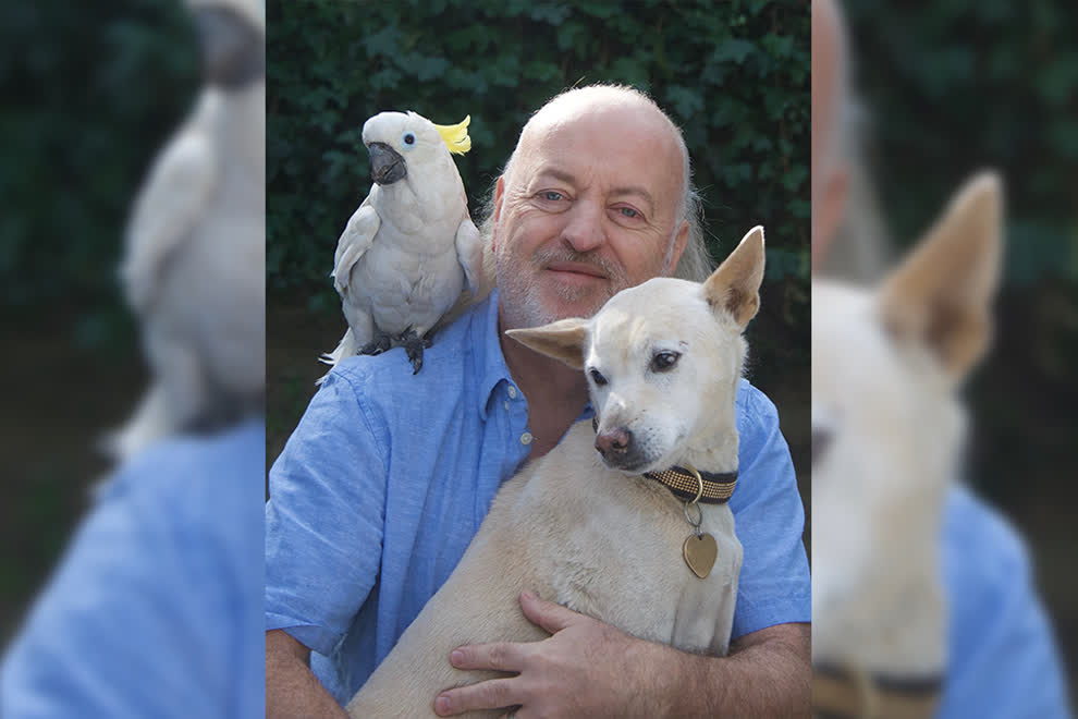 Bill Bailey Is Heading Back To Australia This Year With A Brand New ...