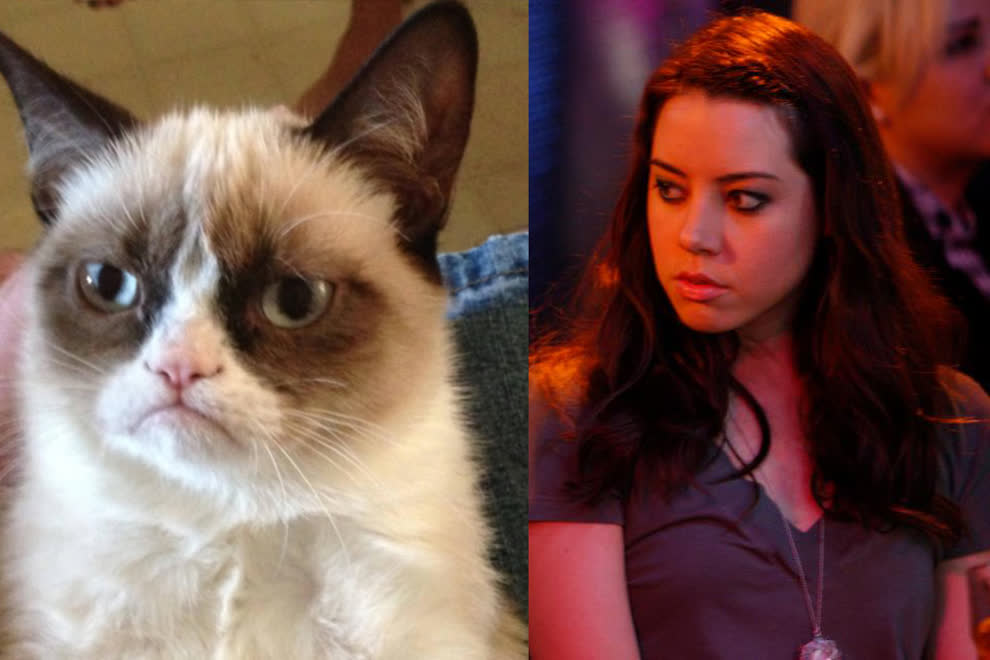 Aubrey Plaza Cast As Voice Of Grumpy Cat | theMusic.com.au | Australian ...