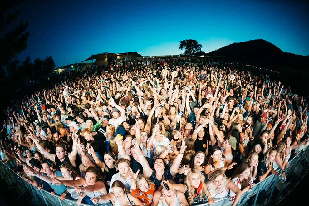 Hot Dub Wine Machine's Miami Horror, Tina Says & More Share Their Best ...